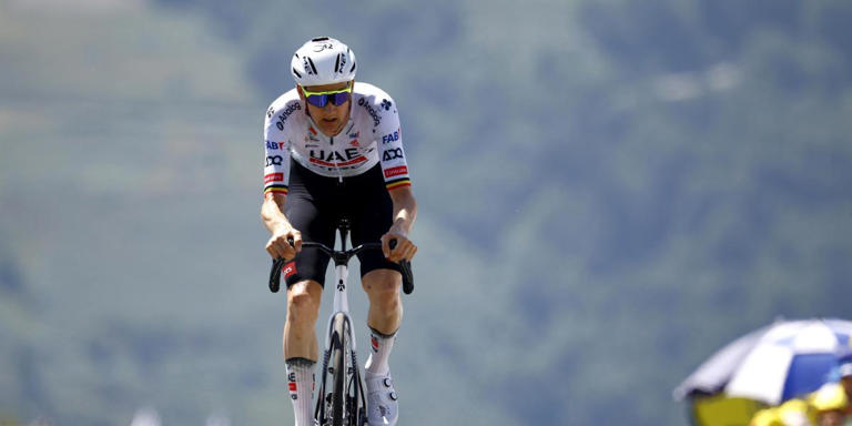 "La actitud de Politt es detestable"