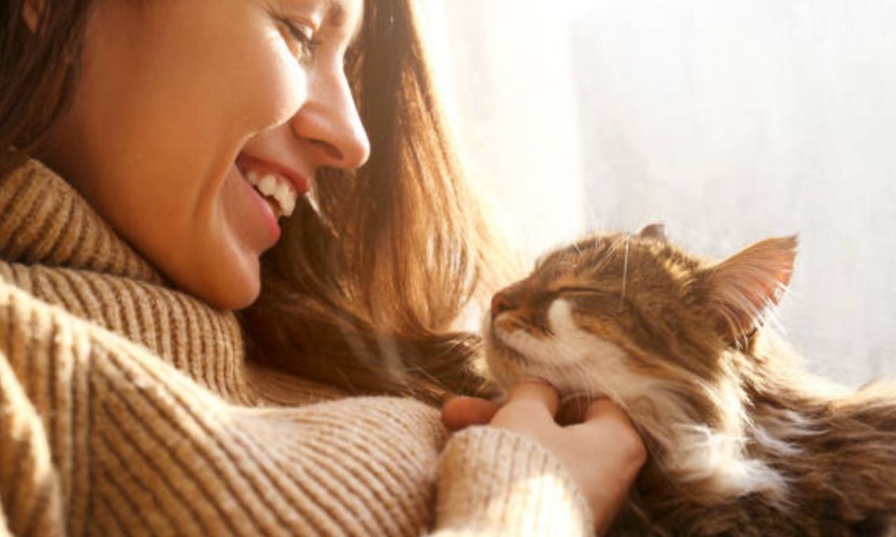 Cómo saber si para tu gato eres su persona favorita