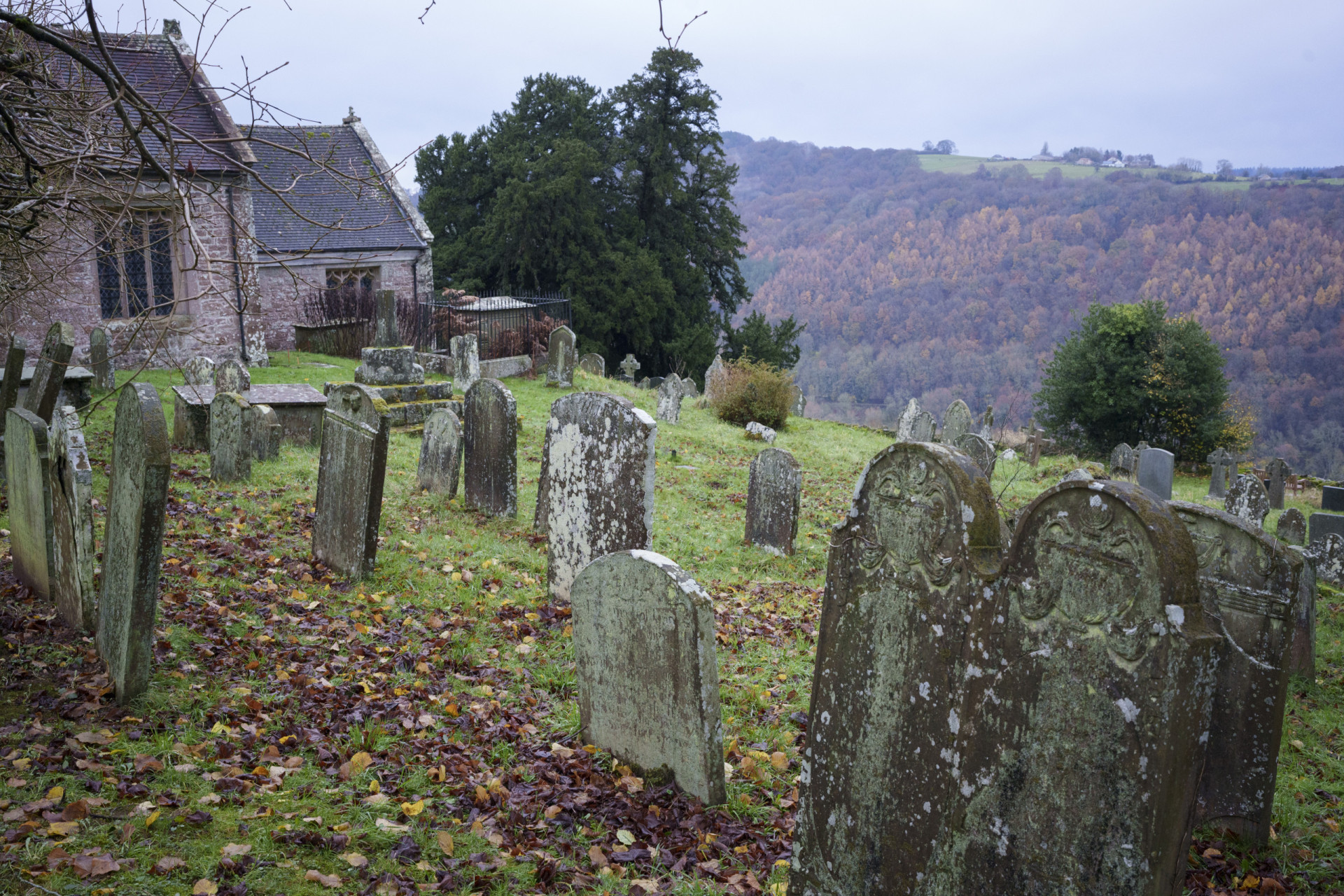 Surprising truths about death