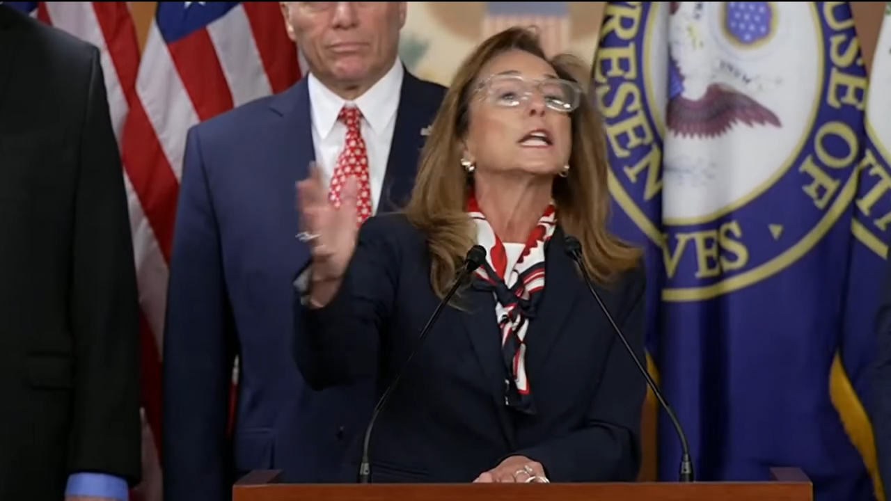 'They Like To Weasel Out Of Their Message': GOP Loon Lisa McClain Barks ...