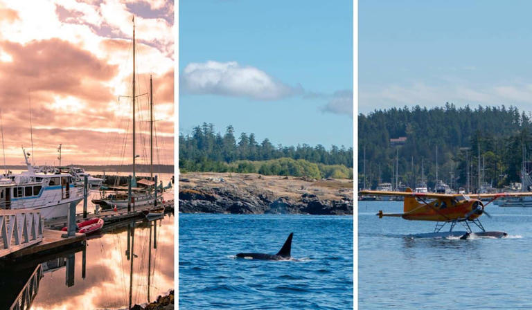 One of the Best Spots to See Orcas is in a Beautiful Victorian Seaport ...