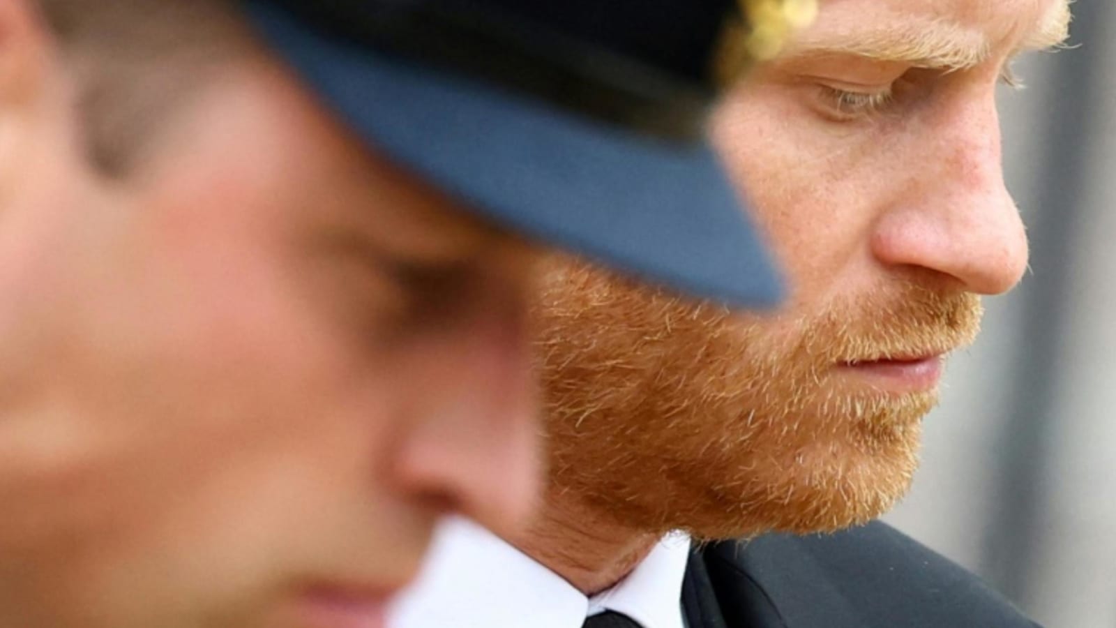 Royal Tragedy: Body Of Rosie Roche, Cousin To Prince William and Harry ...