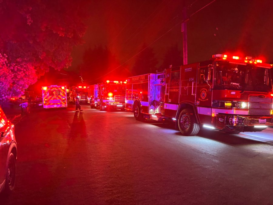 Cat dies in Fremont house fire Monday, chickens rescued by firefighters