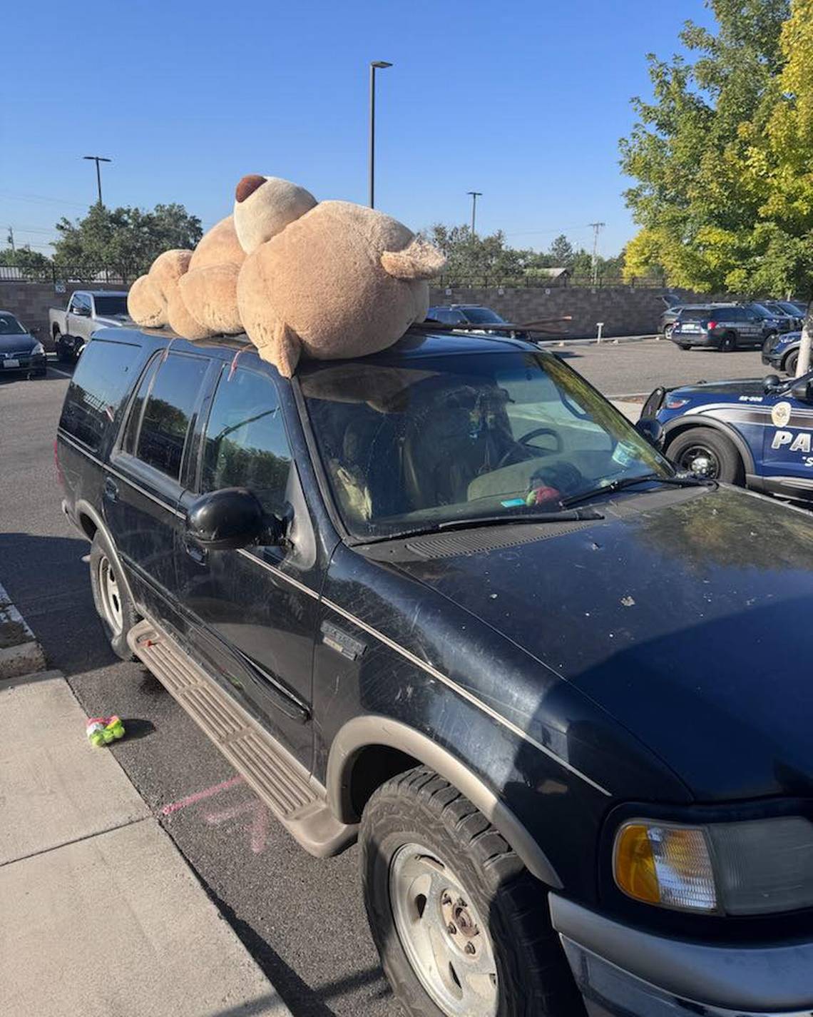 A machete, giant teddy bear and a SUV all linked to a downtown Pasco attack