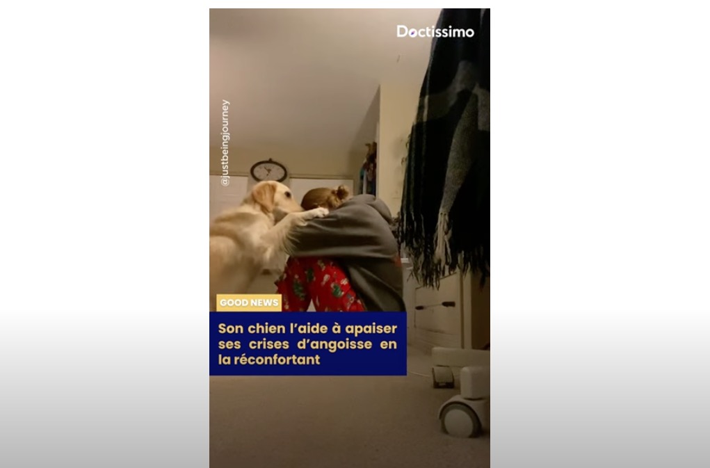 Son chien calme sa crise d’angoisse 🥺