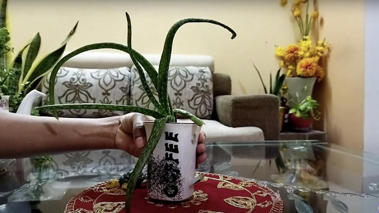 How To Turn A Broken Mug Into Adorable Bookshelf Decor