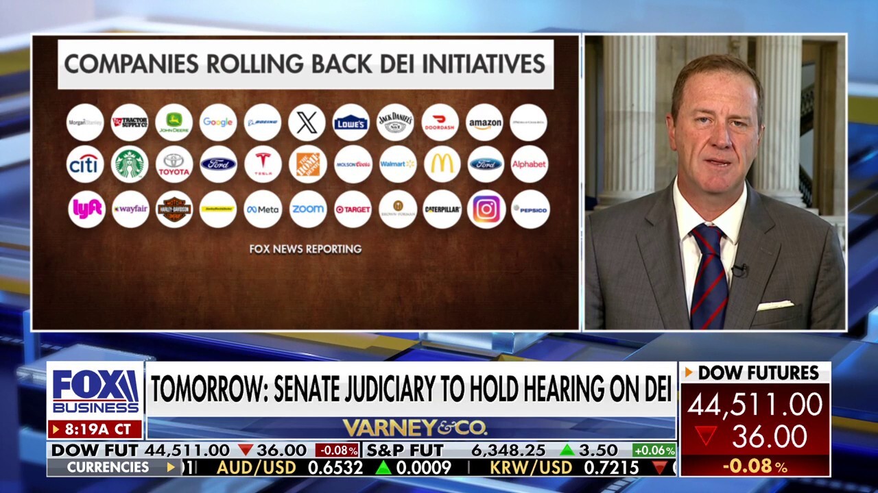 GOP lawmaker vows to go after companies sticking with DEI policies ...