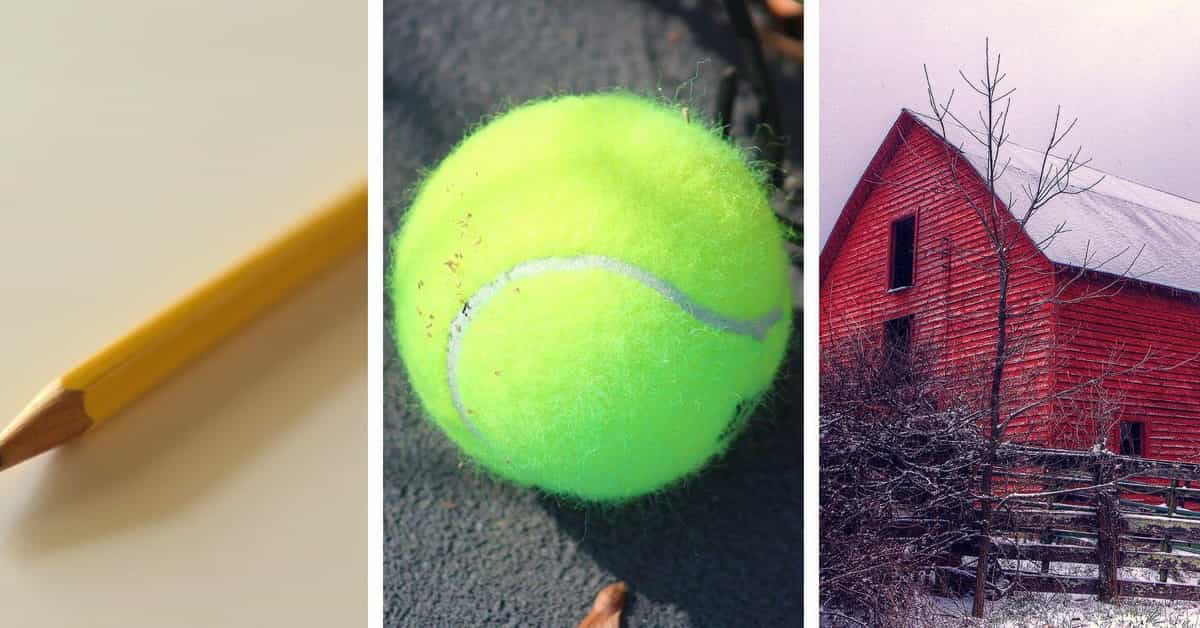 Why Common Items Are Colored That Way