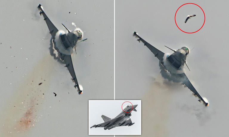Terrifying moment seagull strikes £73million Eurofighter shattering its ...