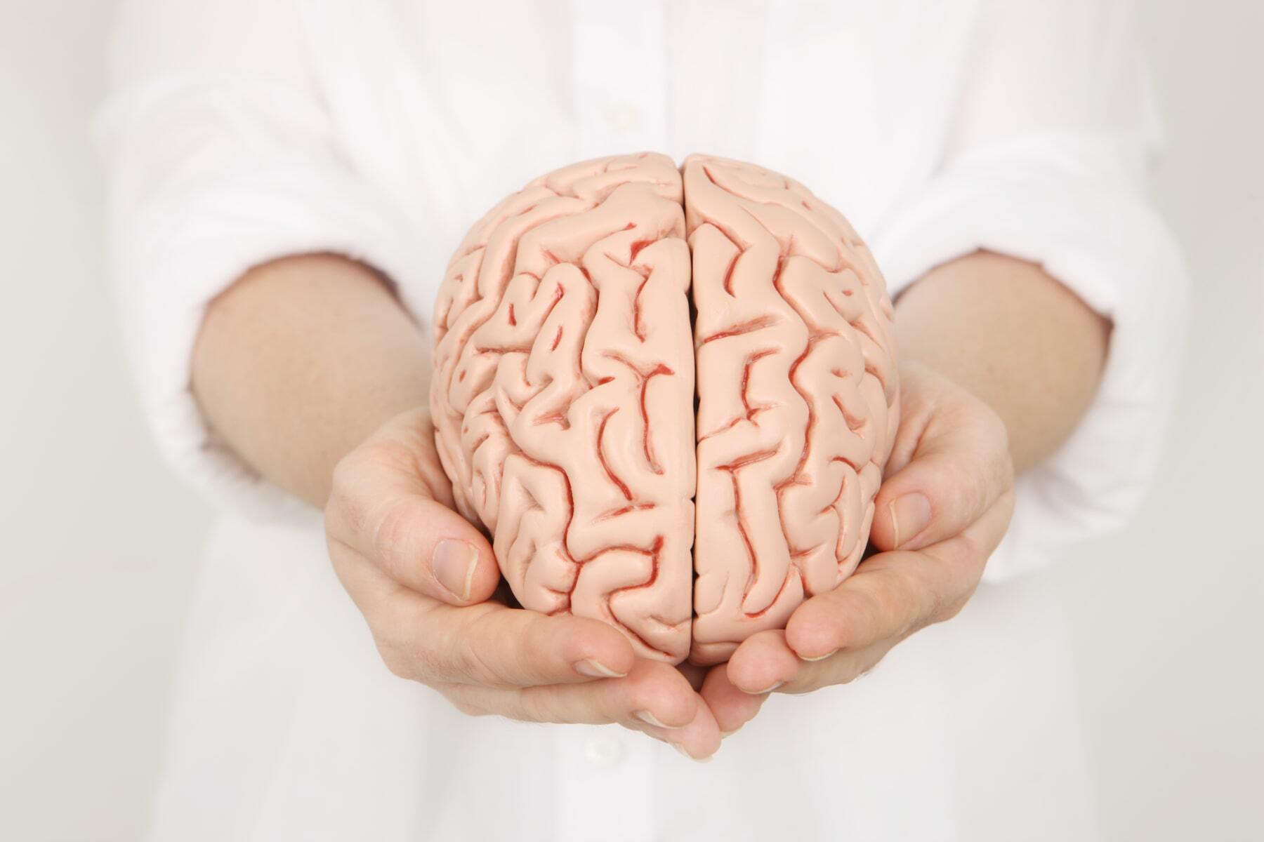 20 amazing facts about the human brain