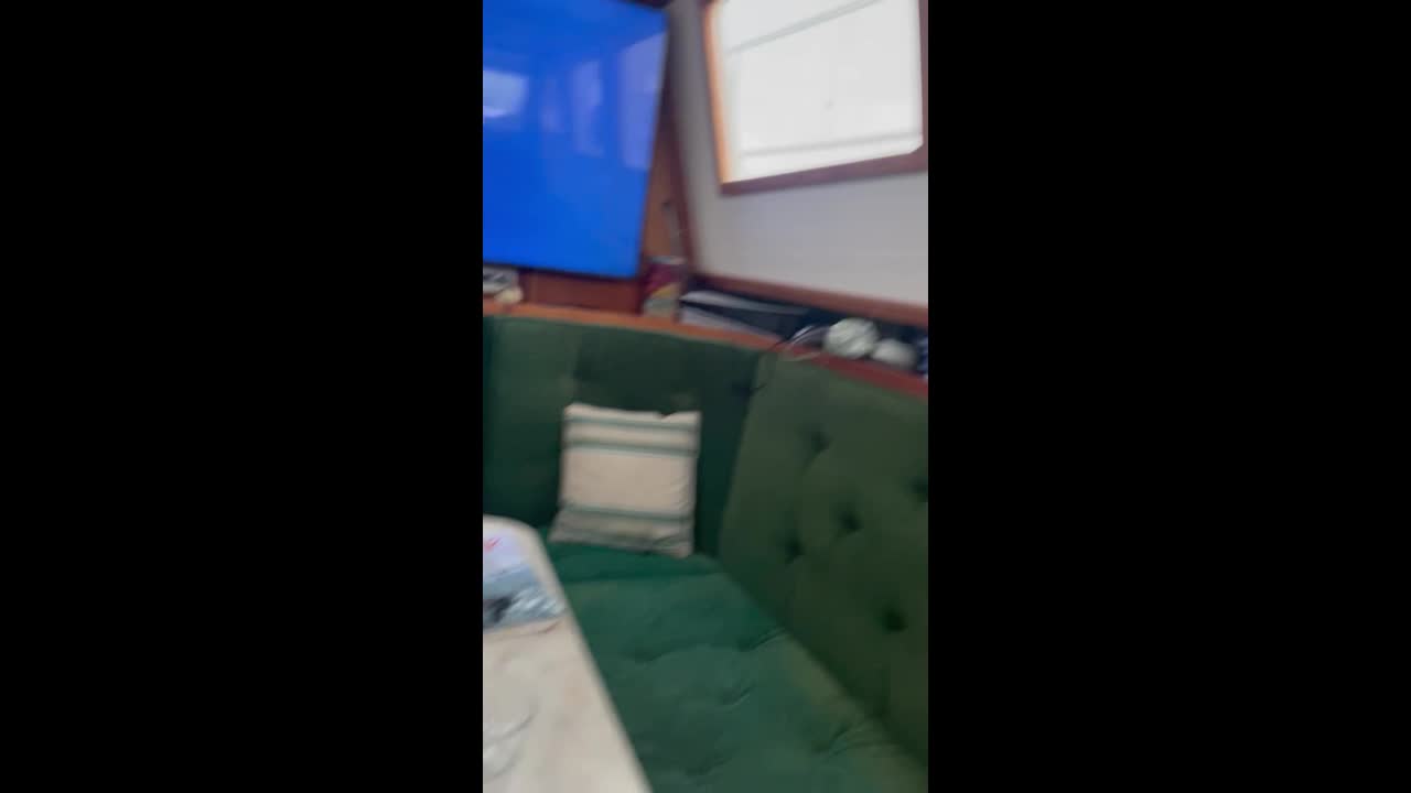 This is what happens when a dog gets 'zoomies' on a boat