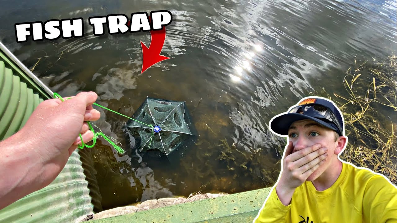 I Found a Neglected Fish Trap While Fishing...
