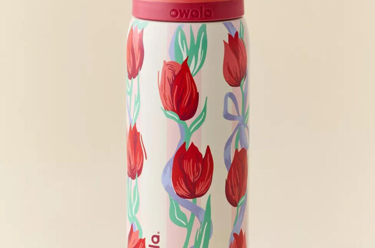 Owala's Kitty Cat Collage Water Bottle is Back in Stock Exclusively at ...