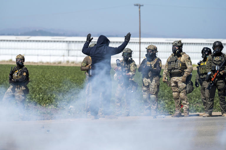 There are many illegal marijuana farms, but federal agents targeted ...