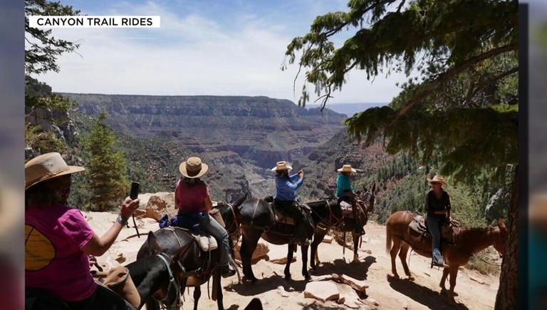 Northern Arizona tourism takes major hit due to Dragon Bravo Fire