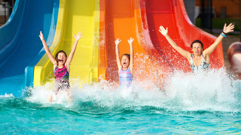 A Brand New Family-Friendly Nature-Based Theme Park Is Coming To The ...