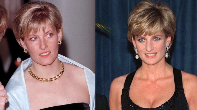 Princess Diana's Royal Family ‘Lookalike' Duchess Sophie Revealed What ...