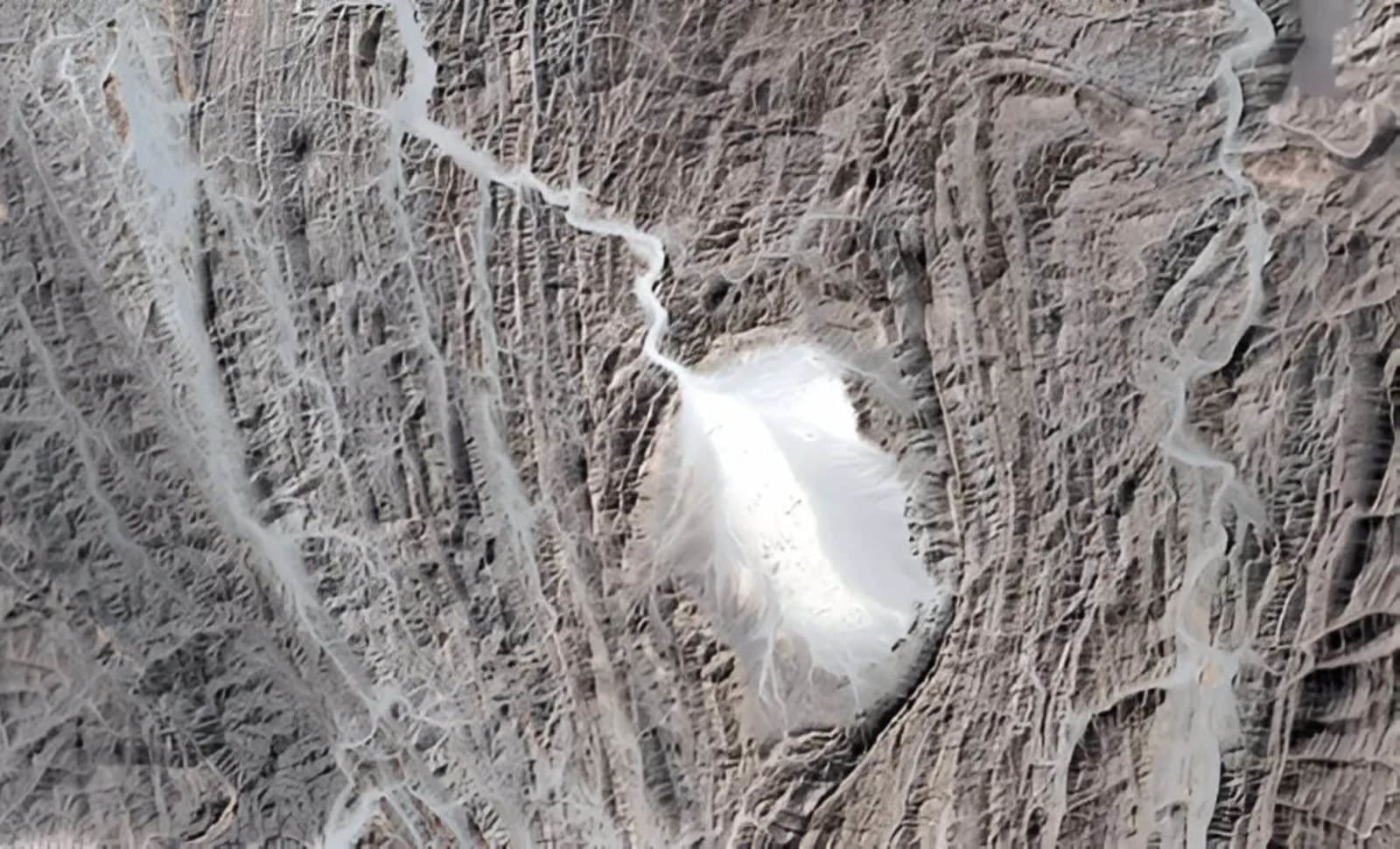 Ancient Sperm Fossils Found in Antarctica: The Oldest Ever Discovered!