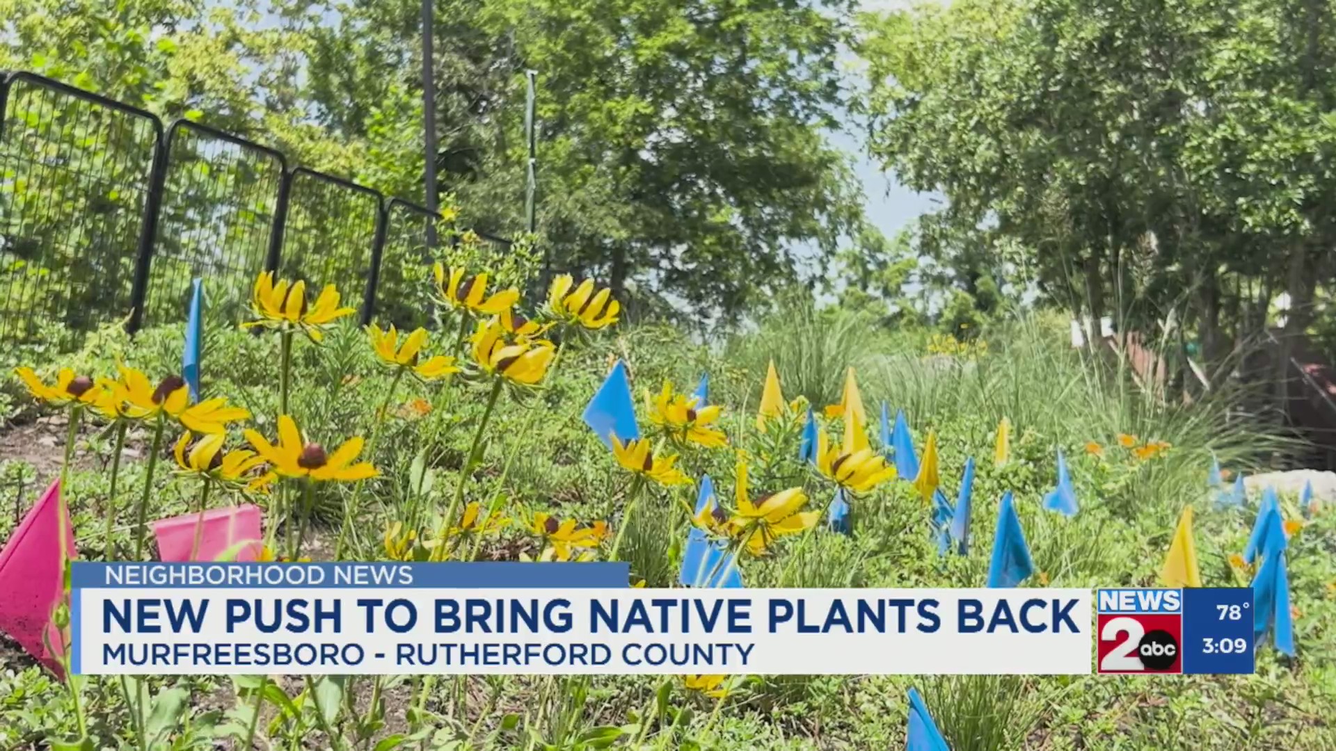New push to bring native plants back in Murfreesboro, TN