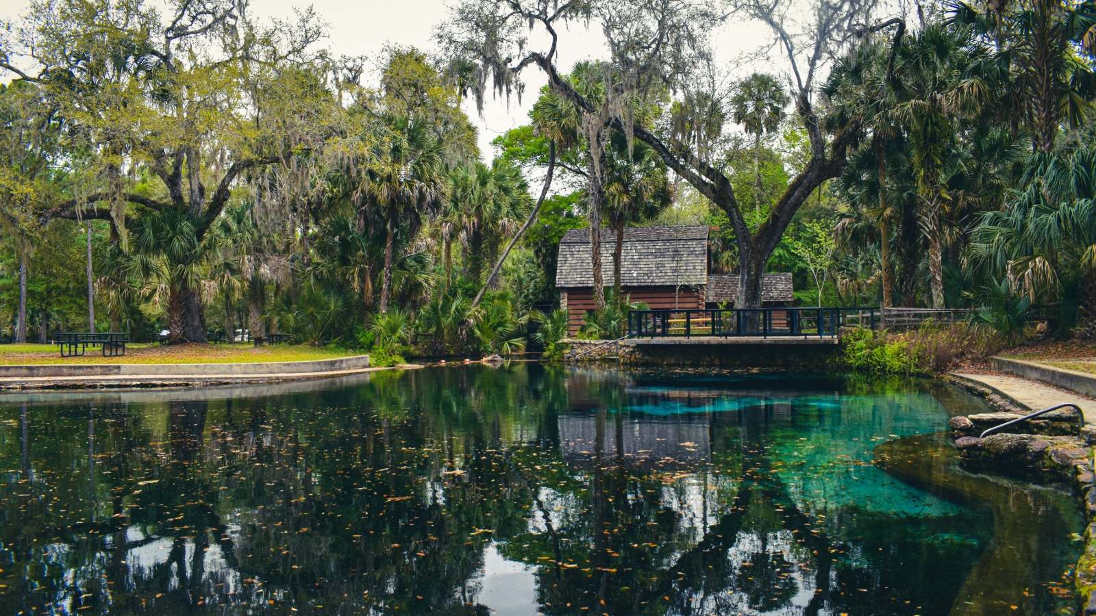 Florida’s natural springs are the best way to cool off this summer