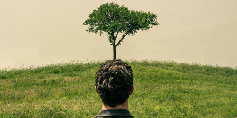 Nature-maxxing for stress relief? Environmental neuroscientists say ...