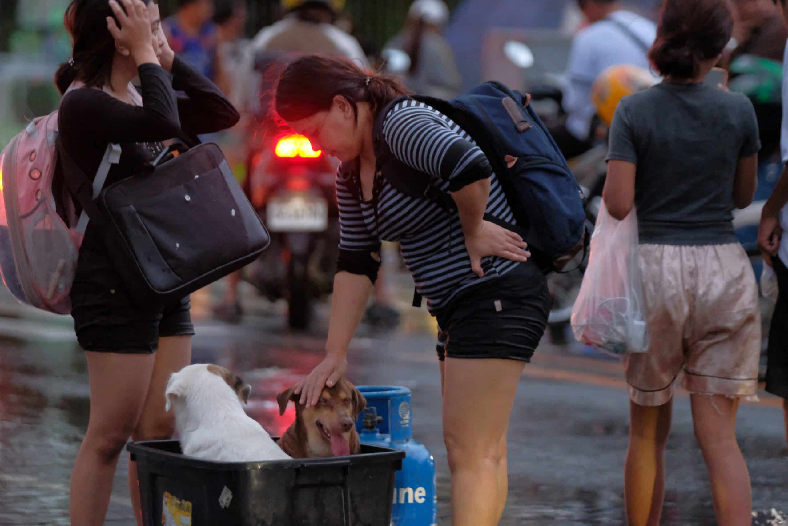 Peta appeals to evacuees: Don’t leave pets behind