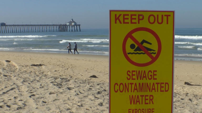 Sewage-contamination forecasting app lets people know when its safe to ...