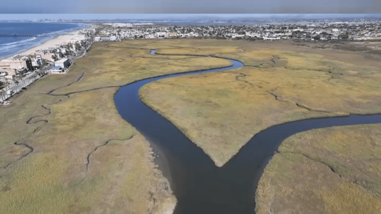 Sewage-contamination forecasting app lets people know when its safe to ...
