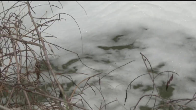 Sewage-contamination forecasting app lets people know when its safe to ...