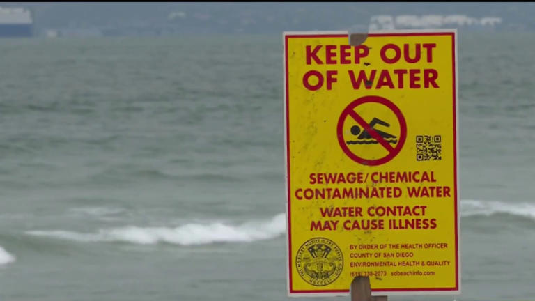 Sewage-contamination forecasting app lets people know when its safe to ...