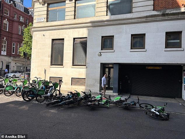 Locals' fury as dockless e-bike bay in affluent London area is overrun by 'careless' cyclists