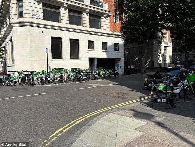 Locals' fury as dockless e-bike bay in affluent London area is overrun by 'careless' cyclists