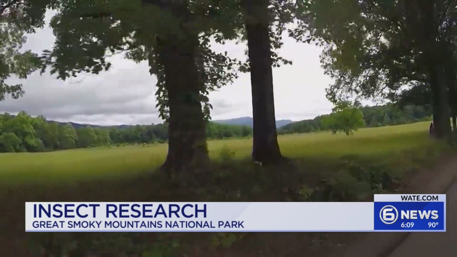 Scientists use car roof contraption to track bugs in Smokies