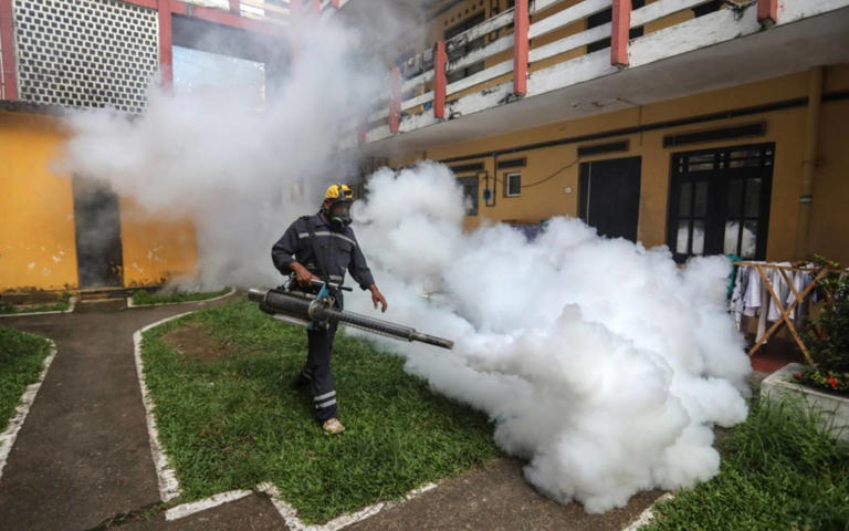 Dengue cases surge across Bangladesh as experts call for urgent action
