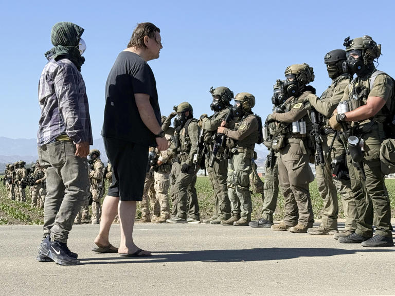 There are many illegal marijuana farms, but federal agents targeted ...