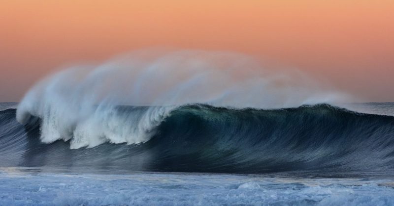 California surf instructor recovering after arm severed in horrific ...