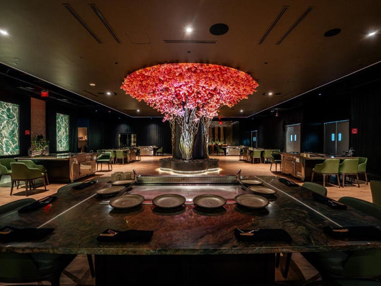 Top Golf, Hibachi Now Open At American Dream, As Part Of Dream360