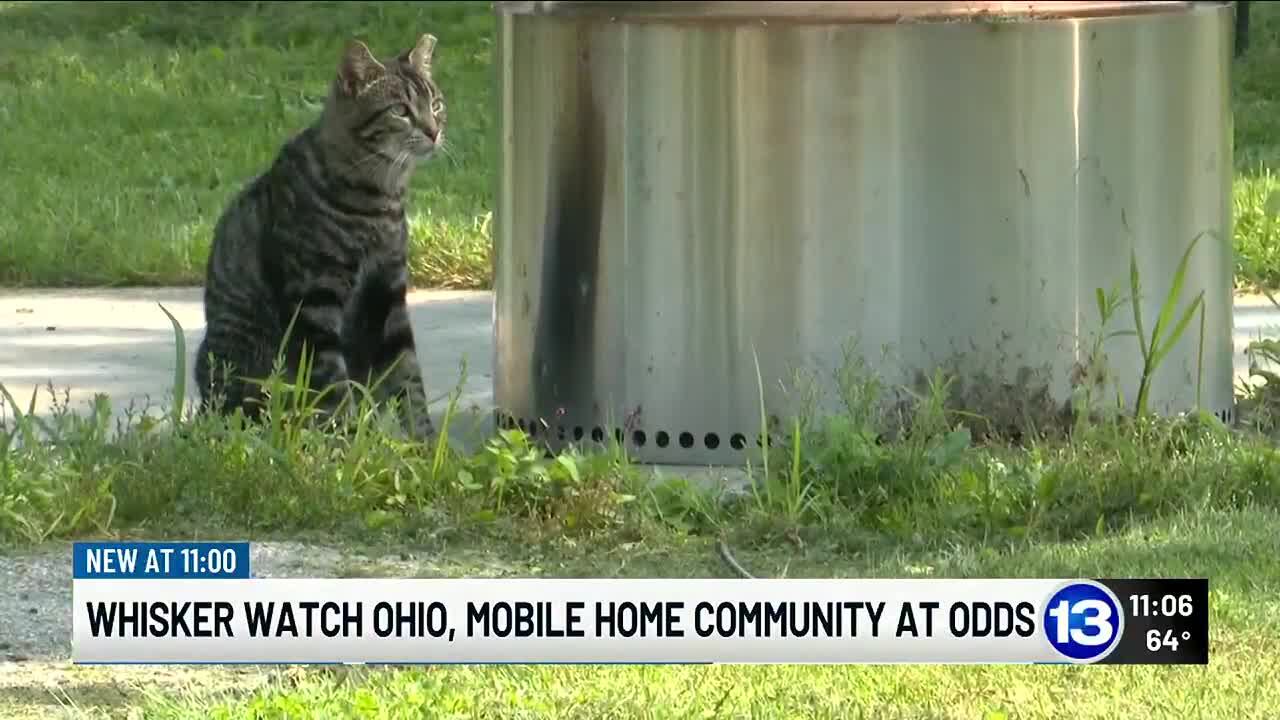 Toledo woman told to stop trap, neuter and return operation at mobile ...