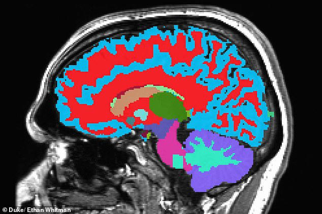 Scientists can now reveal when you'll die with a simple test