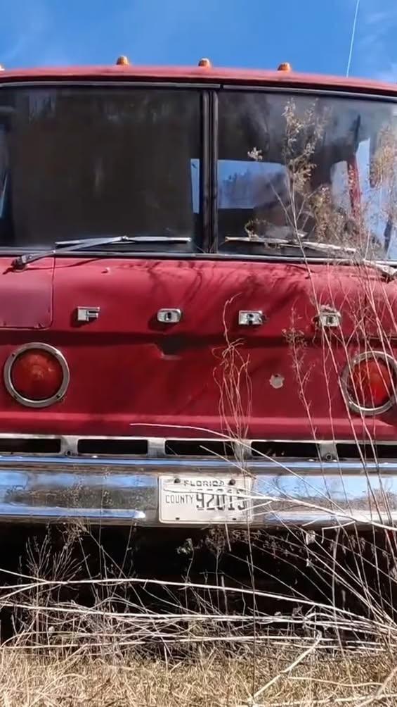 Even mice have to eat. #hamiltonvillefarm #truck #tractor