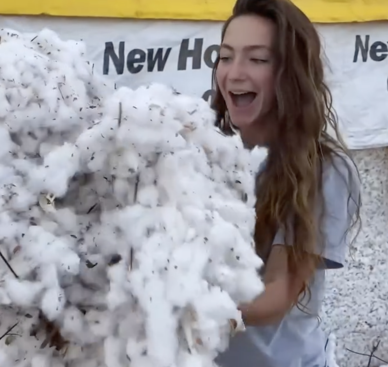This Is How Cotton Is Made