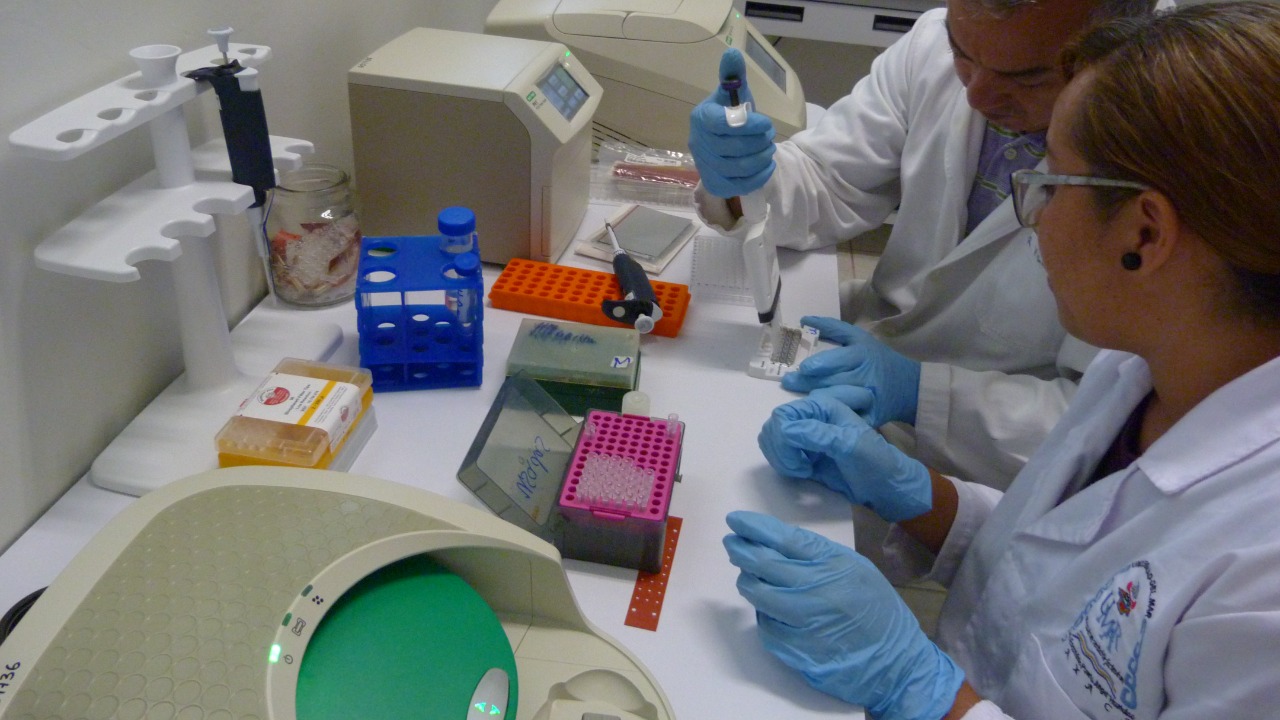 6 rare genetic traits you may have