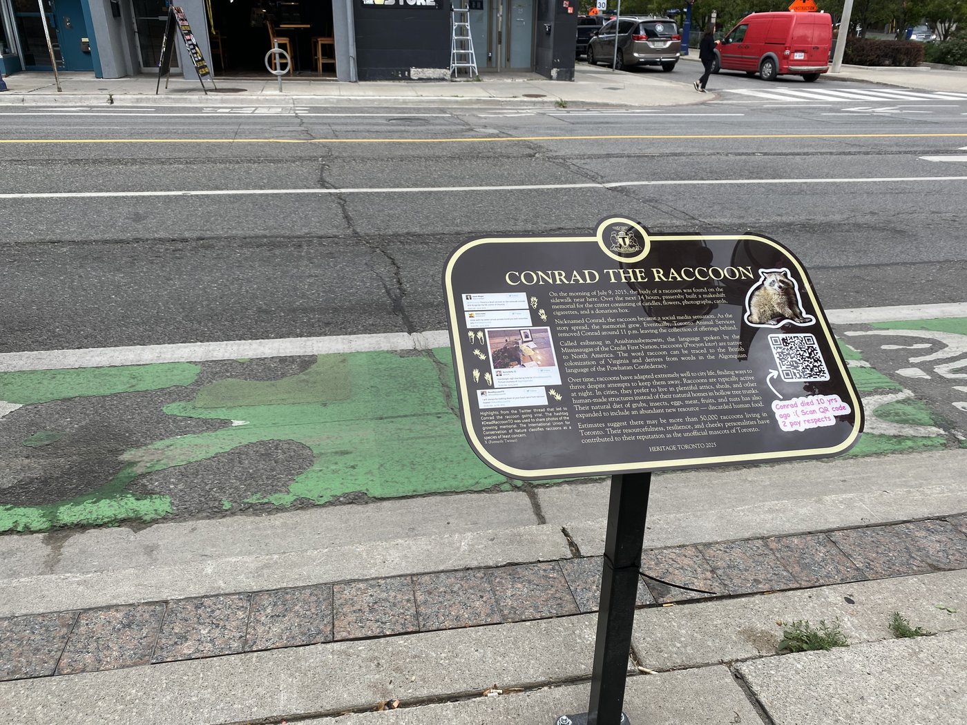 Raccoon whose sidewalk death went viral in 2015 immortalized in Toronto ...