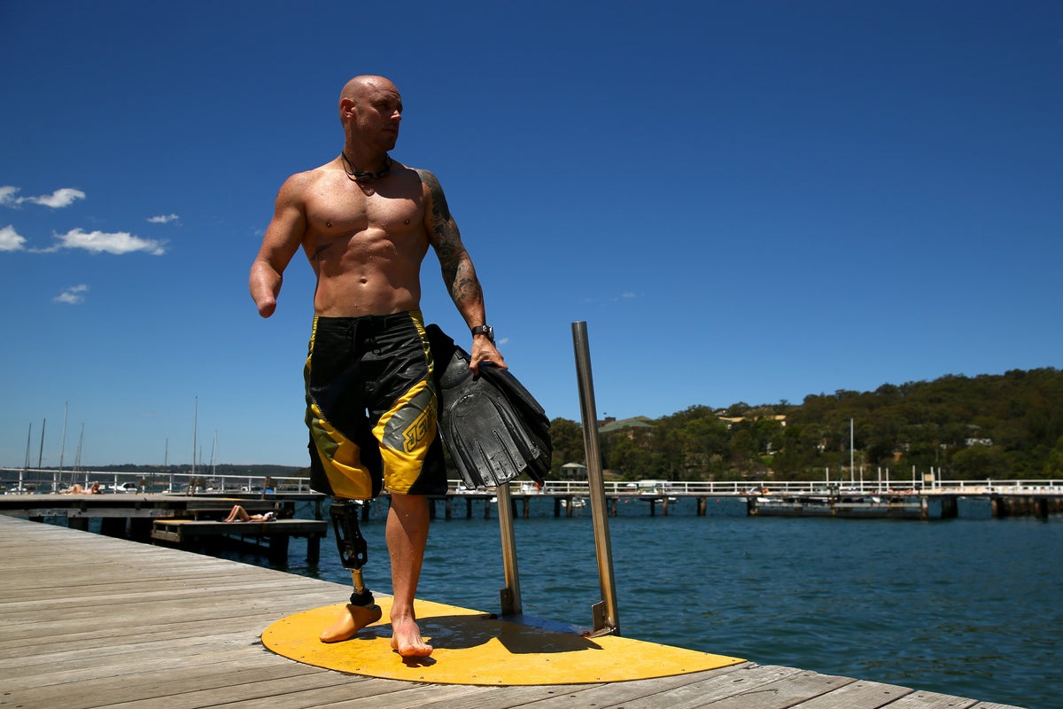 A shark attack survivor says to do this if you come face to fin with a ...
