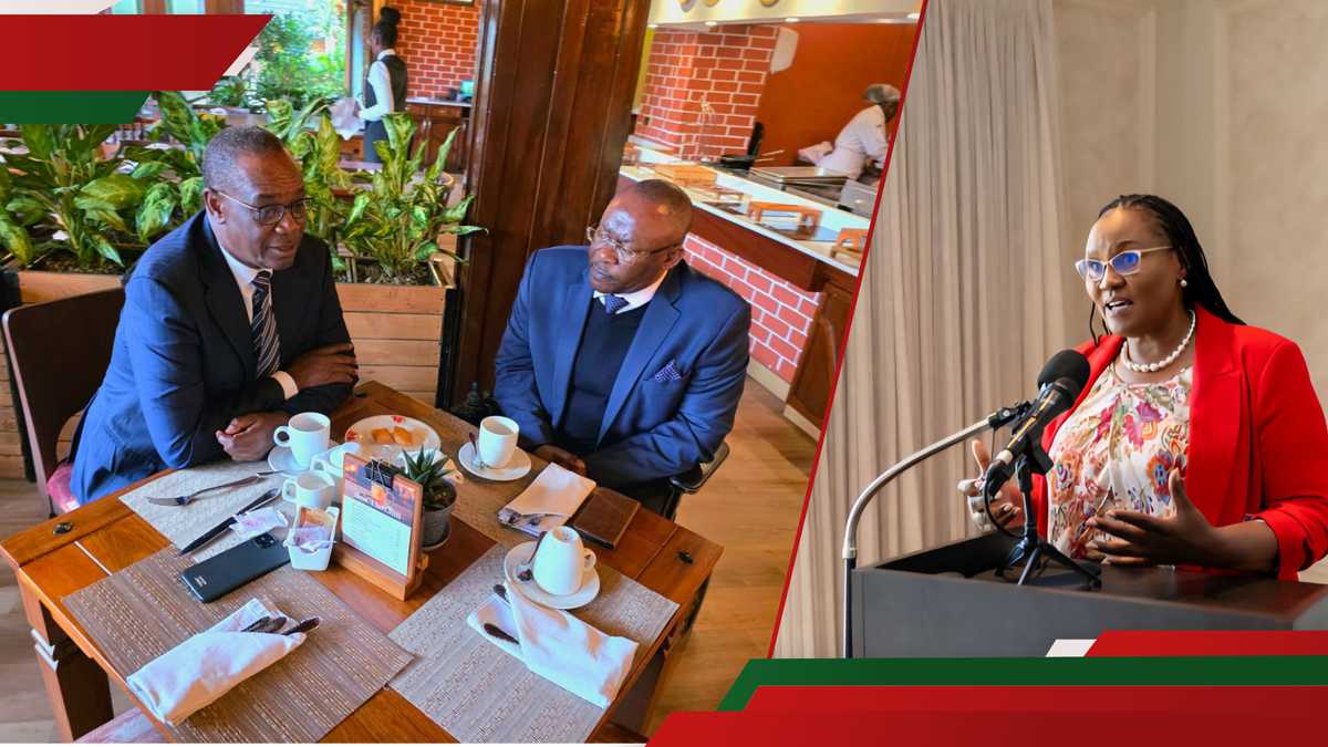 Lucy Jeffery: Journalist eyeing Westlands seats warns against ...