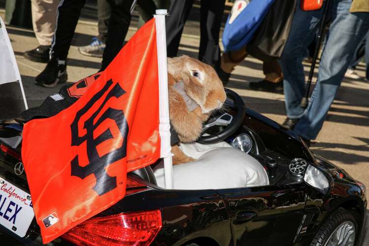 How Alex the Great's owners are honoring legacy of ‘Rally Rabbit' who ...