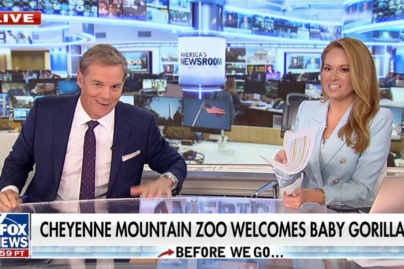 Viewers slam Fox News anchor Gillian Turner after she and Bill Hemmer ...