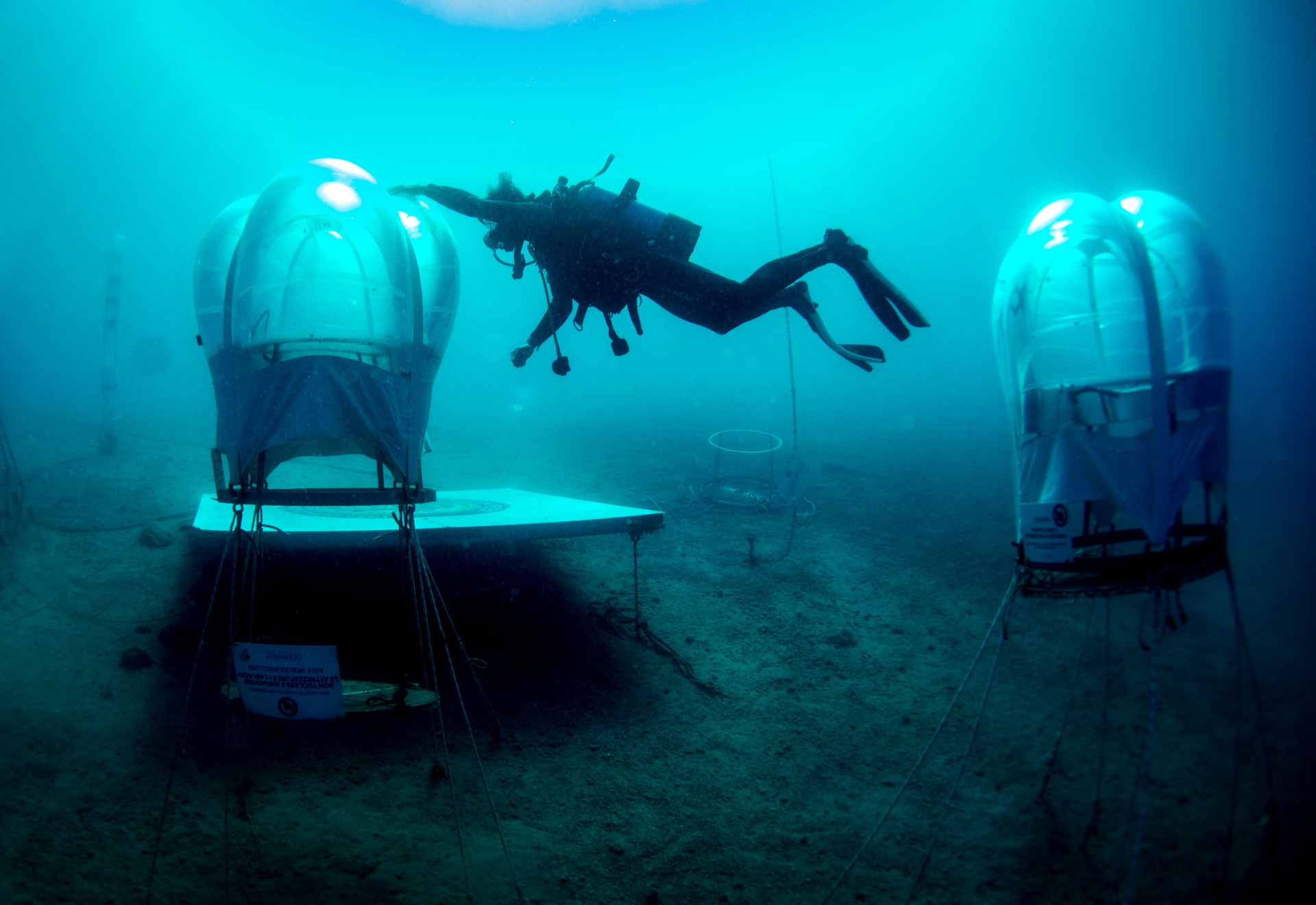 Underwater farms: a new hope for combating climate change?