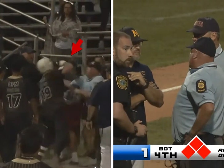Youth Baseball Players, Fans Brawl During Playoff Game, Cops Investigating