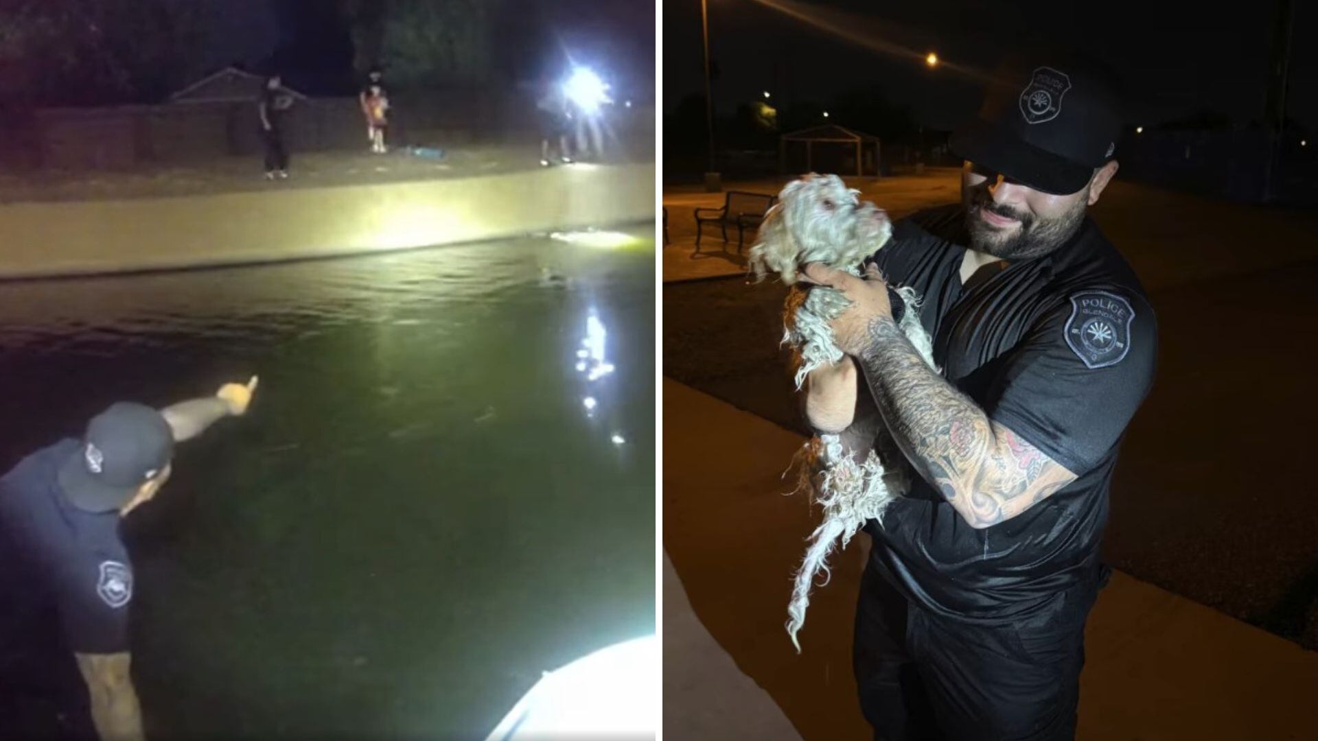 Dramatic video shows Glendale police officer rescue dog stuck in canal